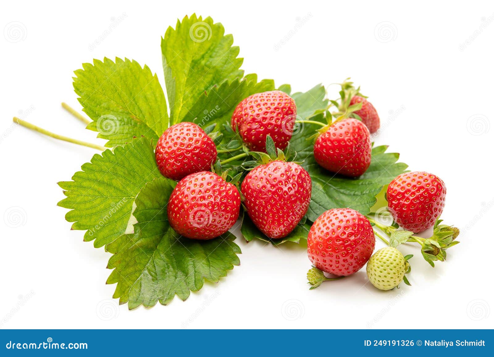 Strawberries with Stems and Leaves on a White Background. Isolate Stock ...
