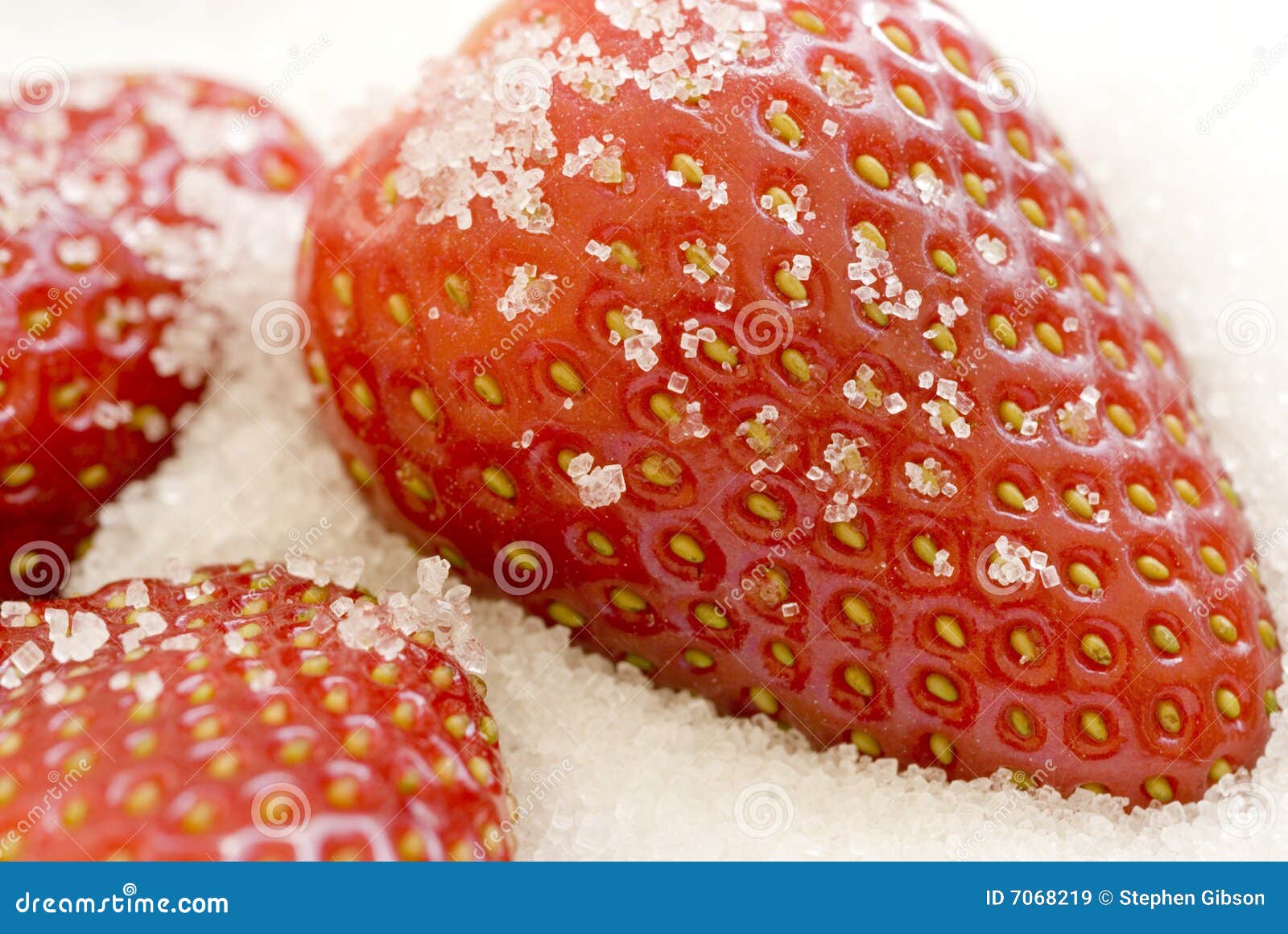 Strawberries in sugar stock image. Image of food, seeds - 7068219