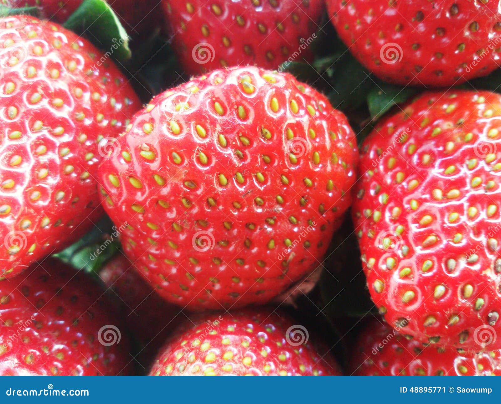 Strawberries Texture Closeup Stock Image - Image of texture, beautiful ...