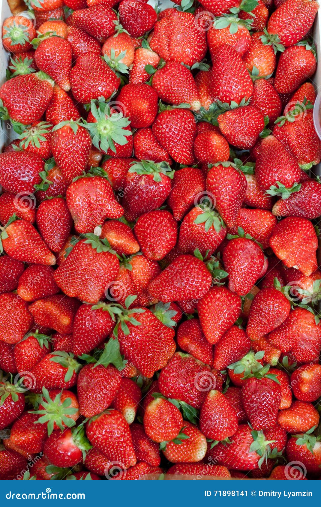 Strawberries stock image. Image of freshness, health - 71898141
