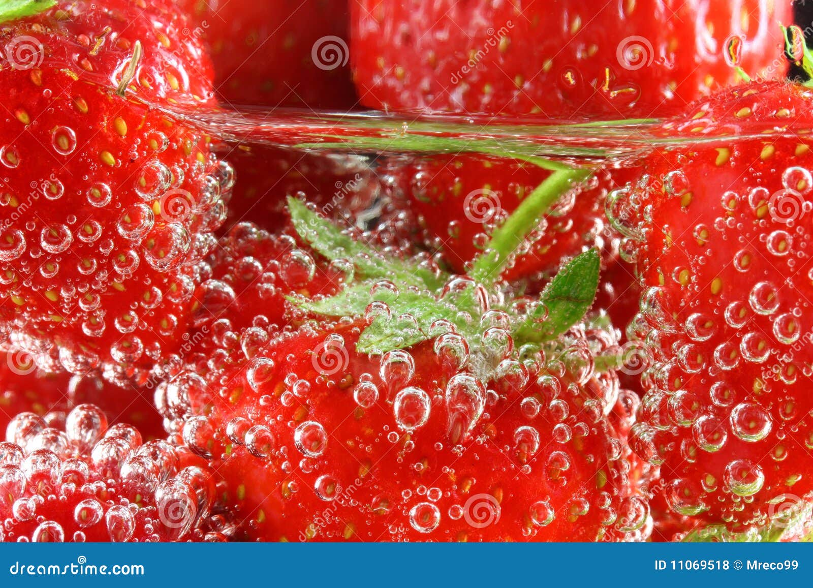 Strawberries in Water Close Up Stock Photo - Image of berry, stalks ...