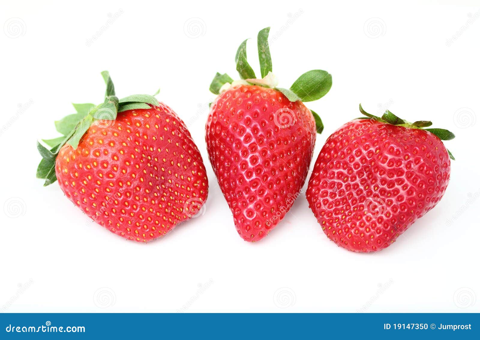 Strawberries on a White Background Stock Photo - Image of green ...