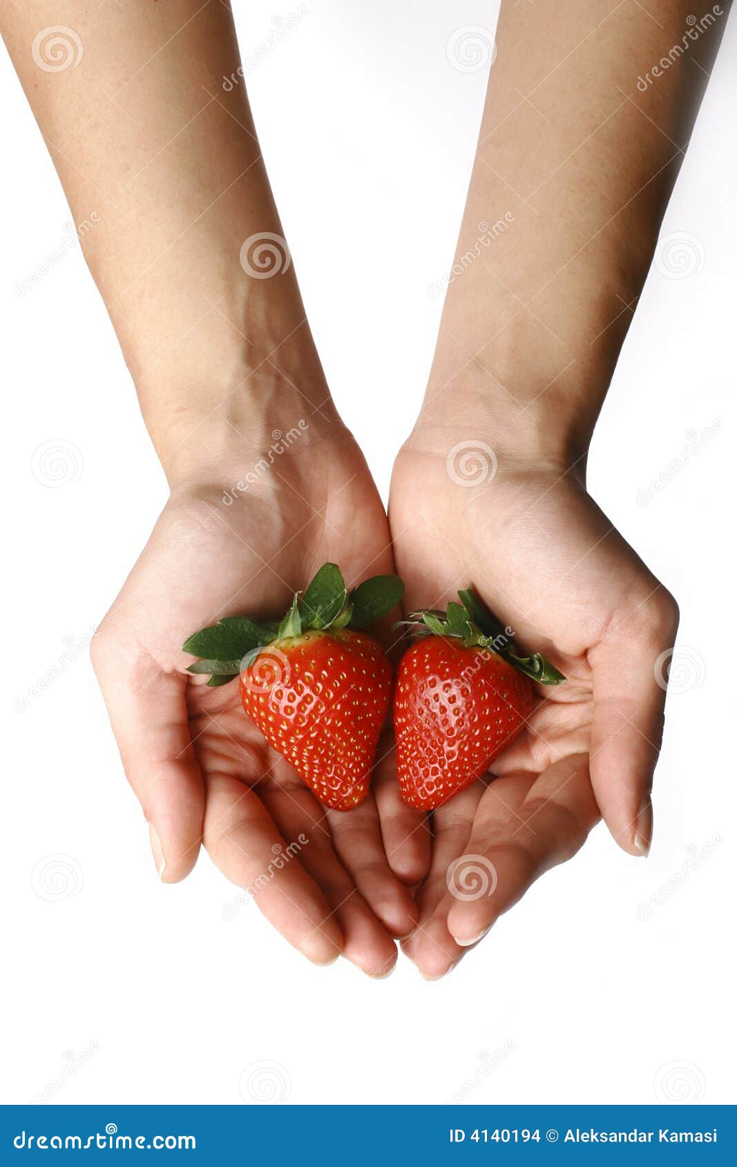 Strawberries in woman hand stock photo. Image of healthy - 4140194