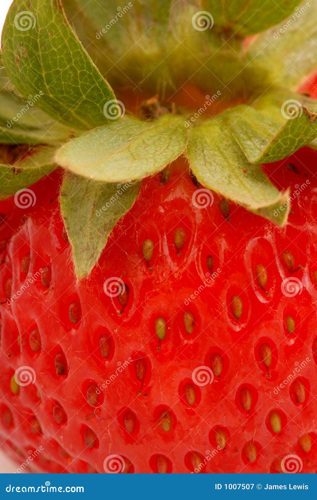 Strawberry stock image. Image of fruit, macro, strawberries - 1007507