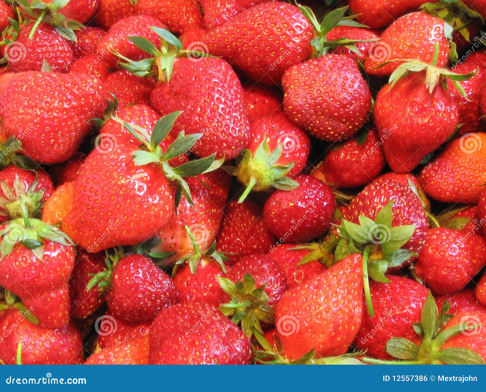 Strawberry stock photo. Image of fructose, fruit, food - 12557386