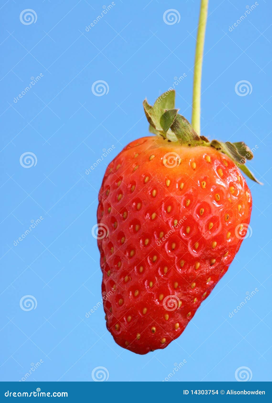 Strawberry stock photo. Image of diet, soft, fruit, ripe - 14303754