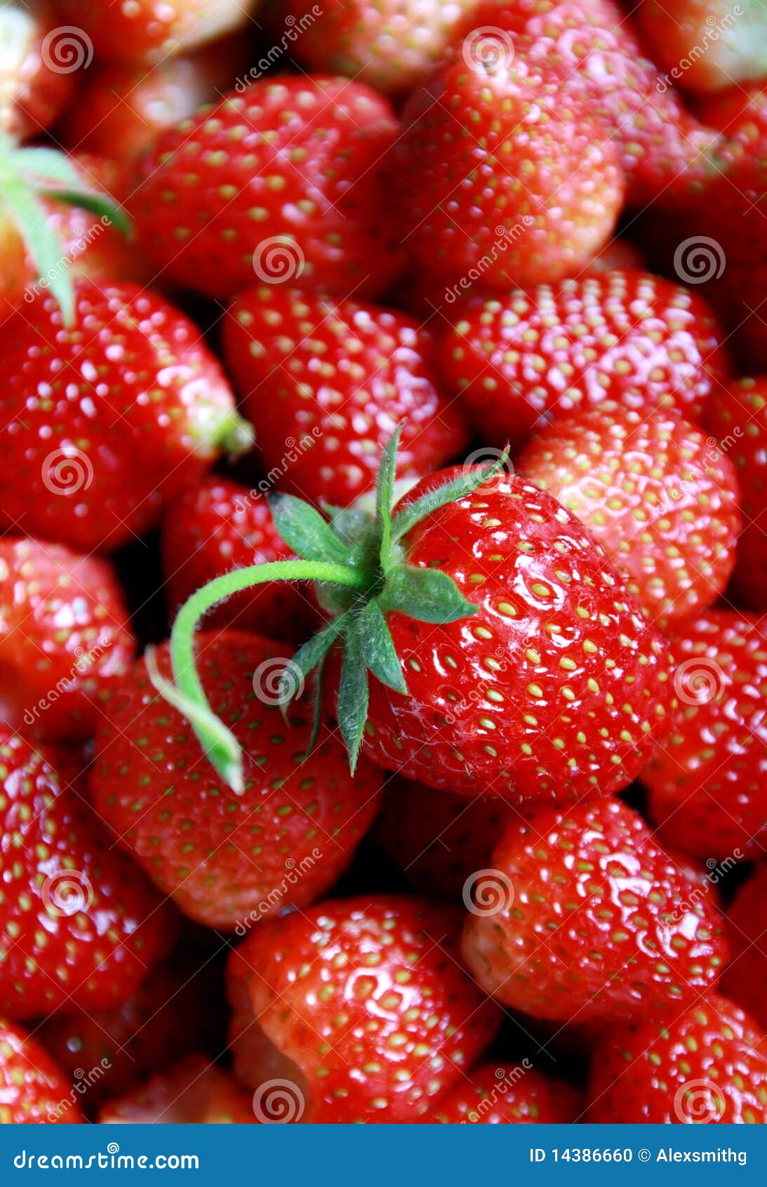 Strawberry stock photo. Image of green, tasty, fresh - 14386660