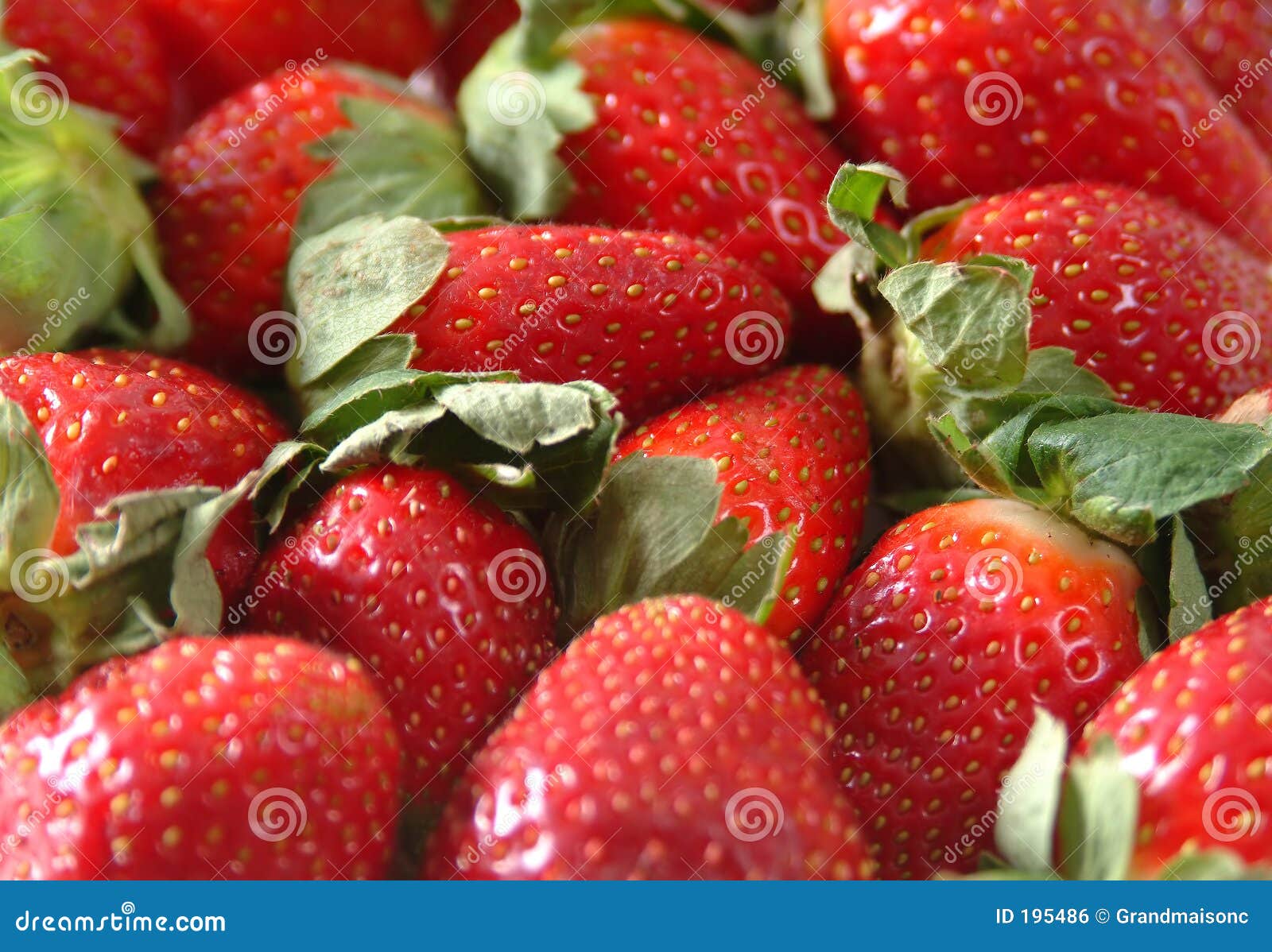 Strawberry stock photo. Image of fruit, gardens, close - 195486