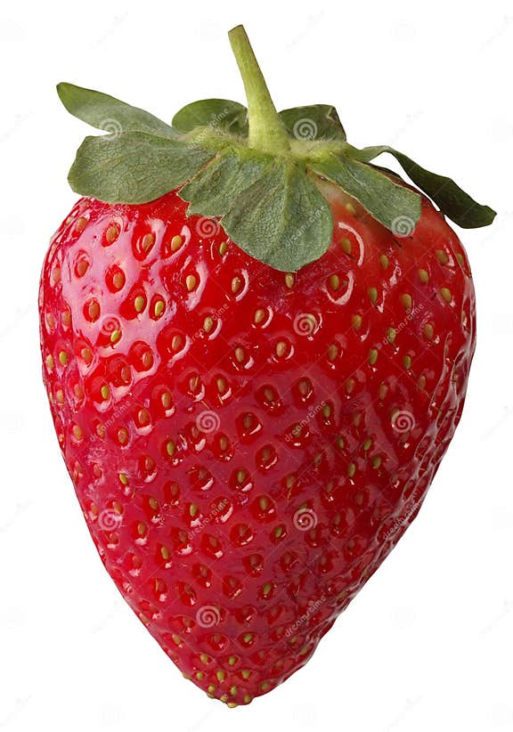 Strawberry stock photo. Image of strawberry, dessert, fruits - 231368