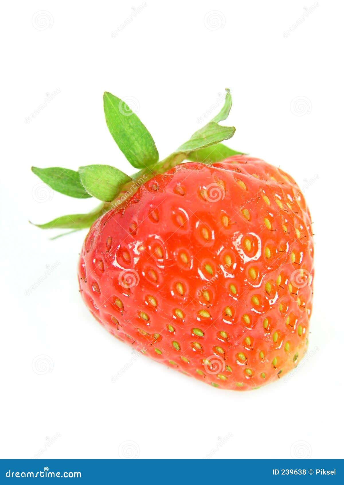 Strawberry stock photo. Image of strawberries, strawberry - 239638