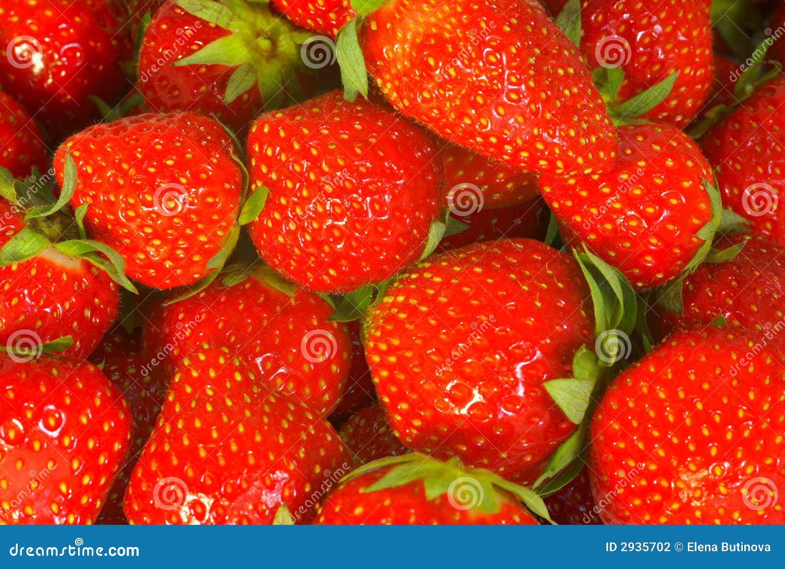 Strawberry stock photo. Image of food, nutrient, group - 2935702