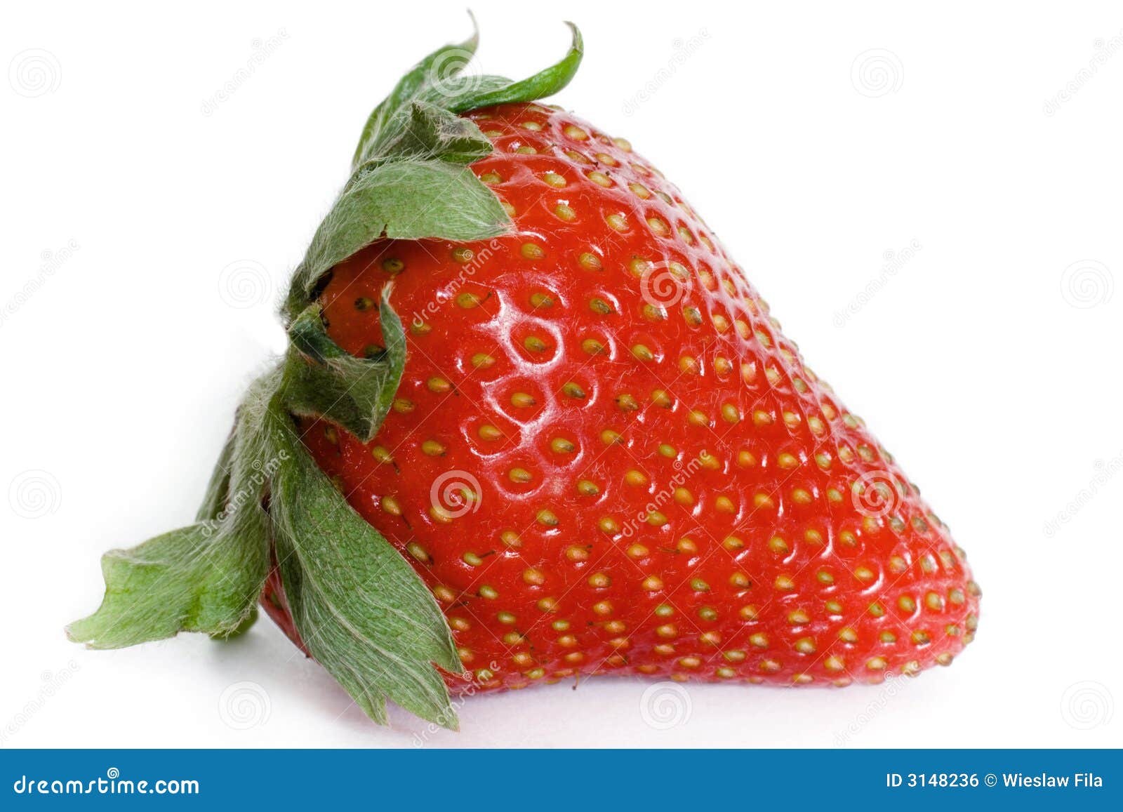 Strawberry stock photo. Image of isolated, strawberry - 3148236