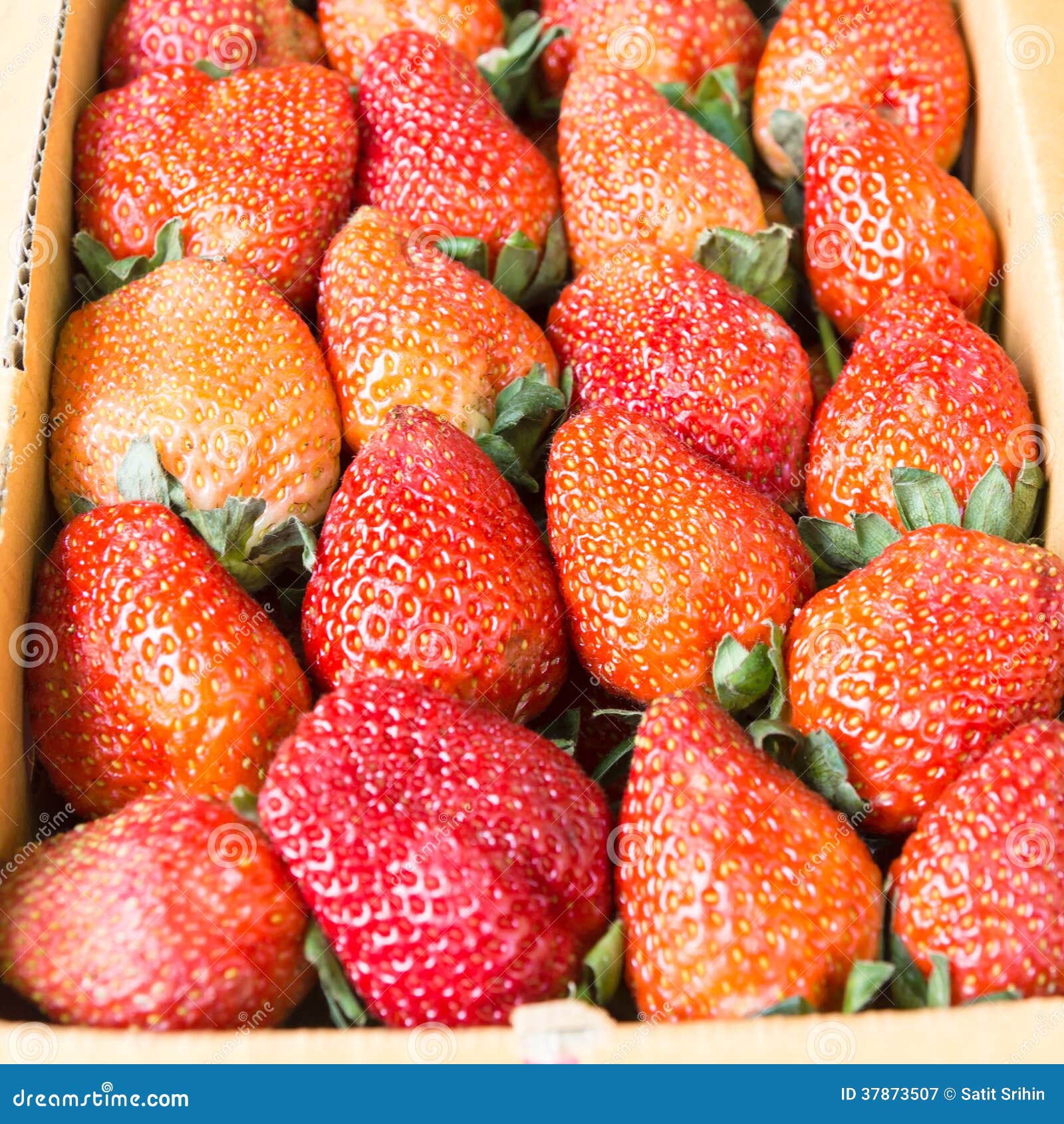 Strawberry stock image. Image of berry, fresh, organic - 37873507