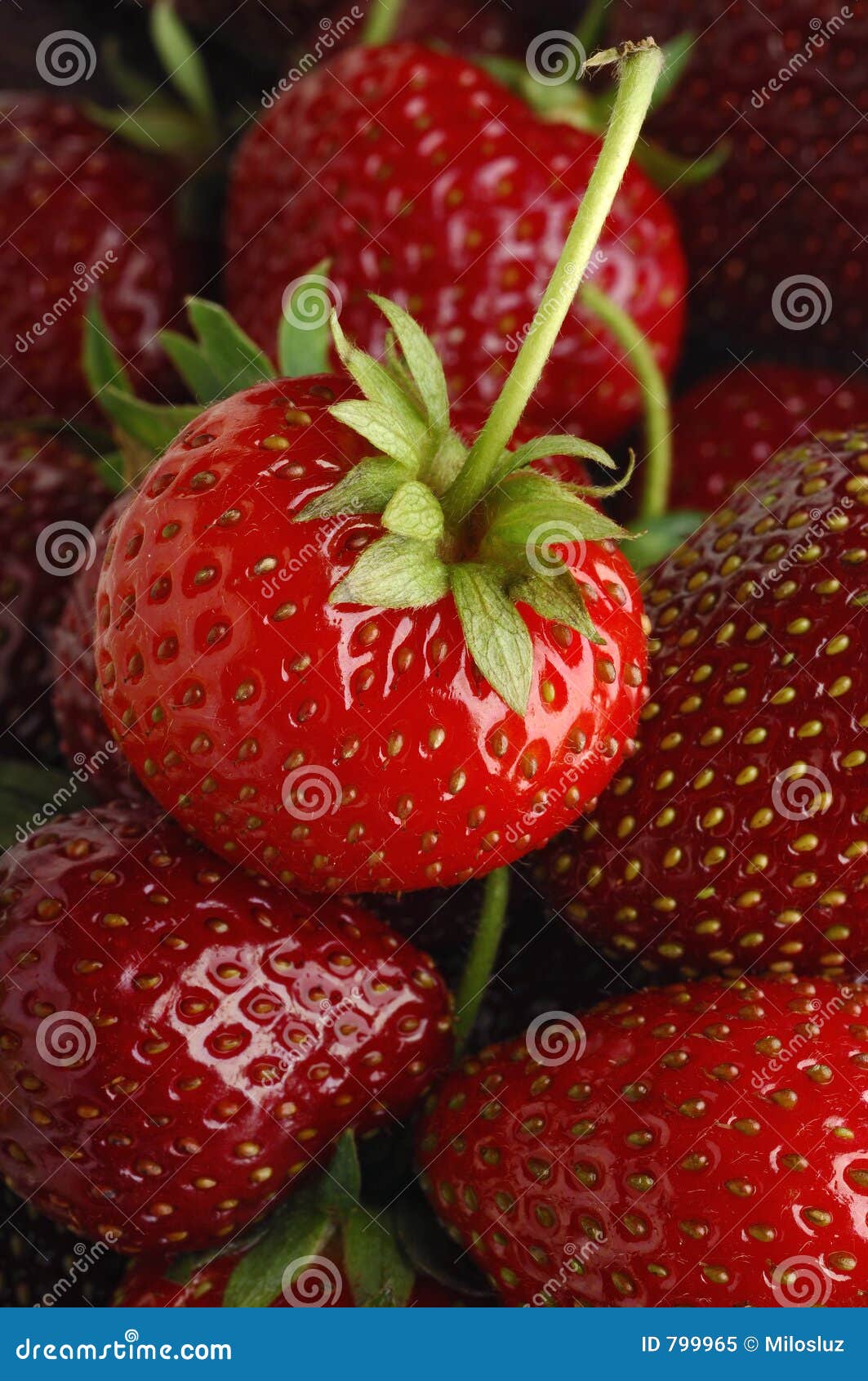 Strawberry stock image. Image of nutrition, elegant, beautiful - 799965