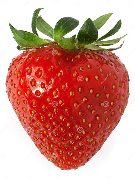 Strawberry stock photo. Image of dainty, berry, desert - 9656992