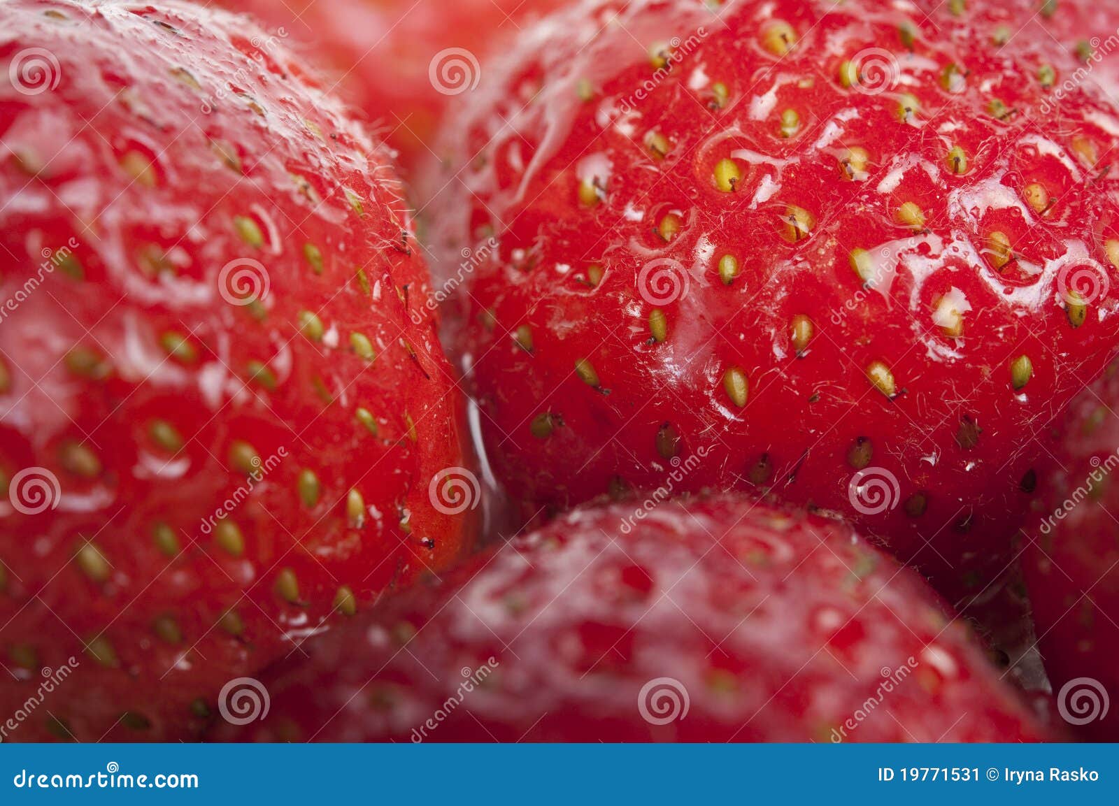 Large Bright Bold Colorful Saturated Nature Stock Photos - Free ...