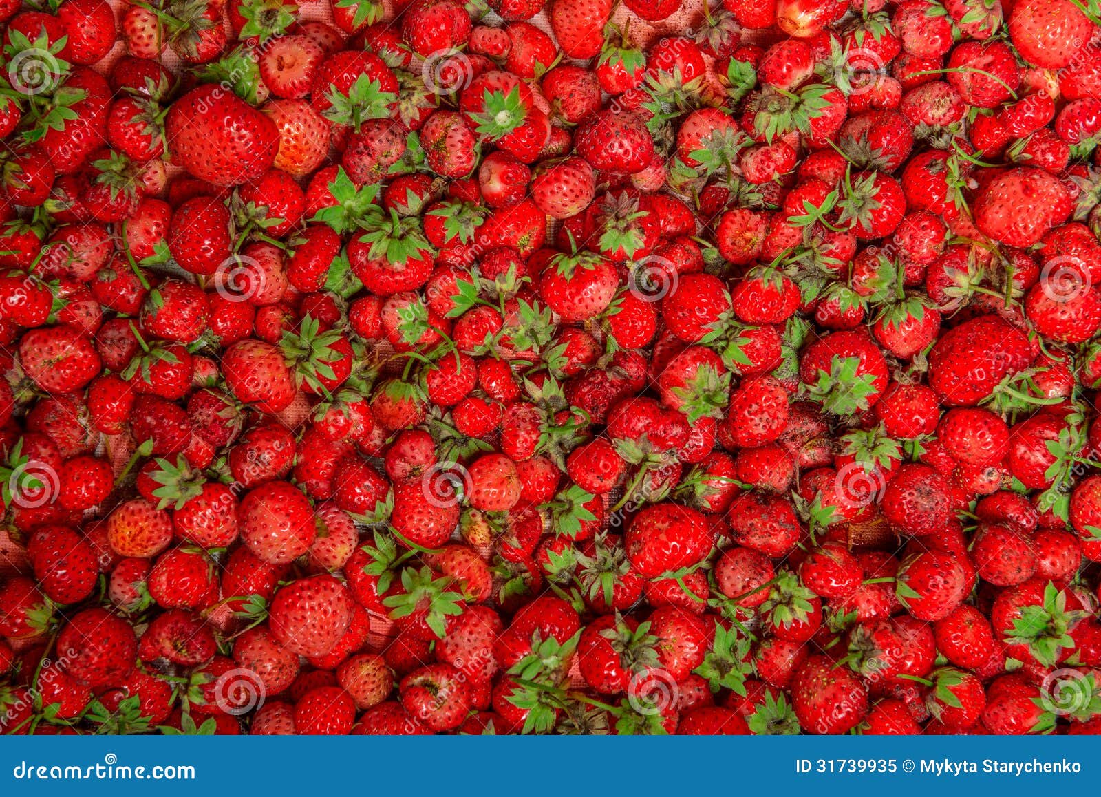 Strawberry background stock image. Image of organic, green - 31739935