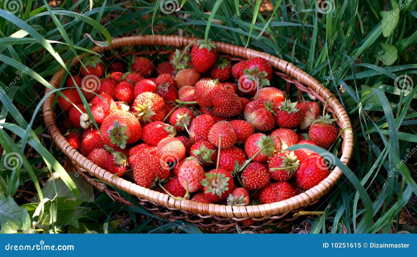 Strawberry in a basket stock image. Image of leaf, heap - 10251615