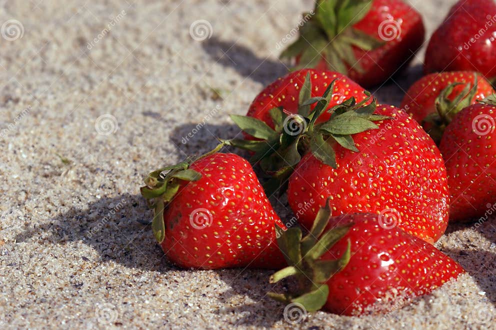 Strawberry on the beach stock photo. Image of alcohol - 92644870