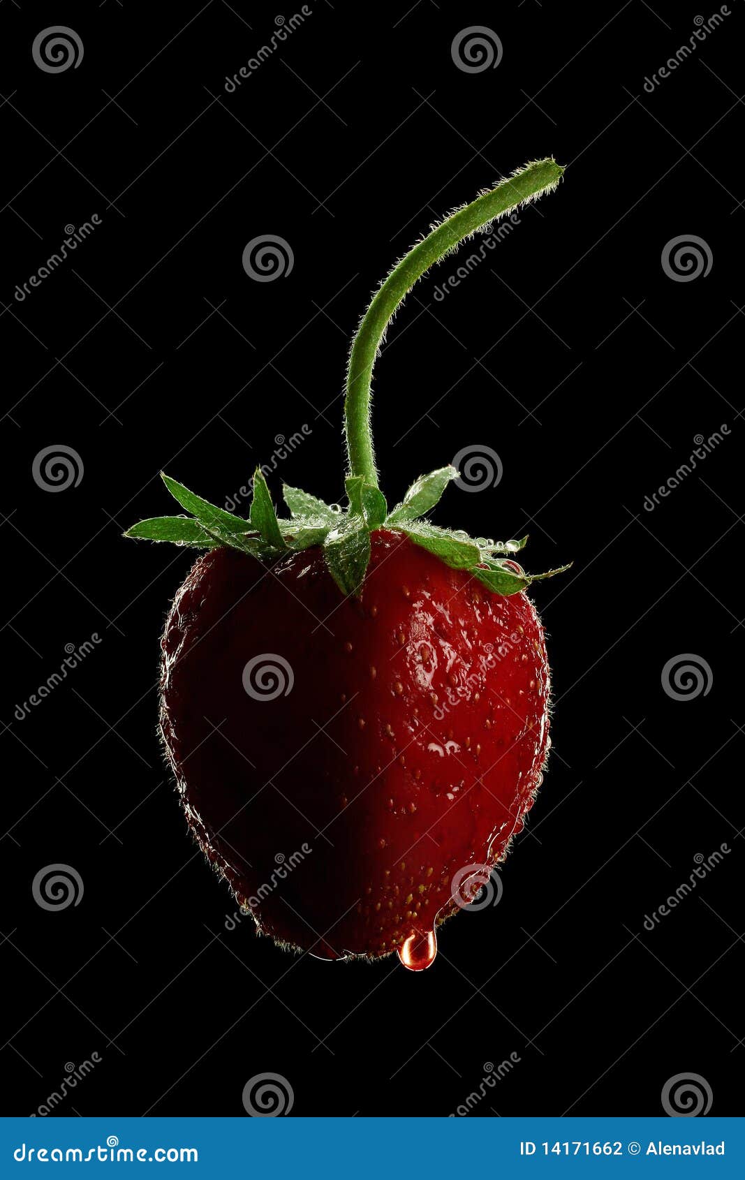 Strawberry black stock photo. Image of juicy, refreshment - 14171662