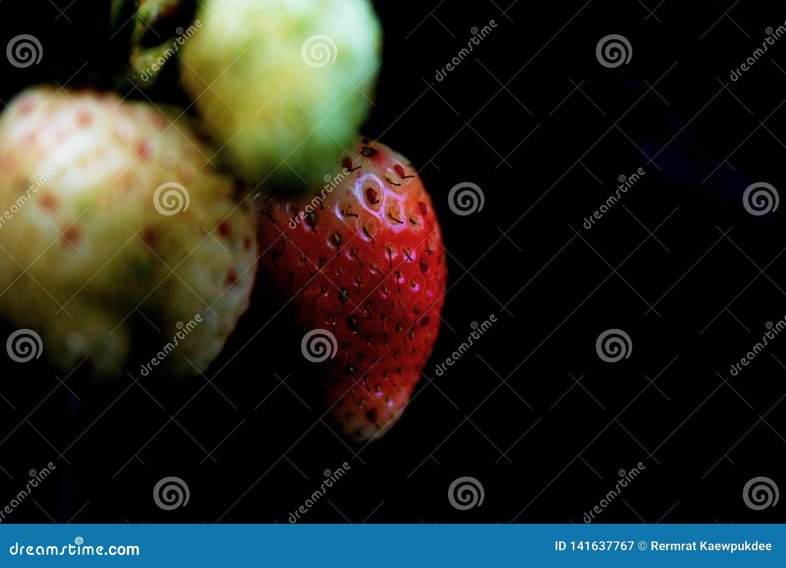 Strawberry on Black Background Stock Image - Image of garden, blur ...