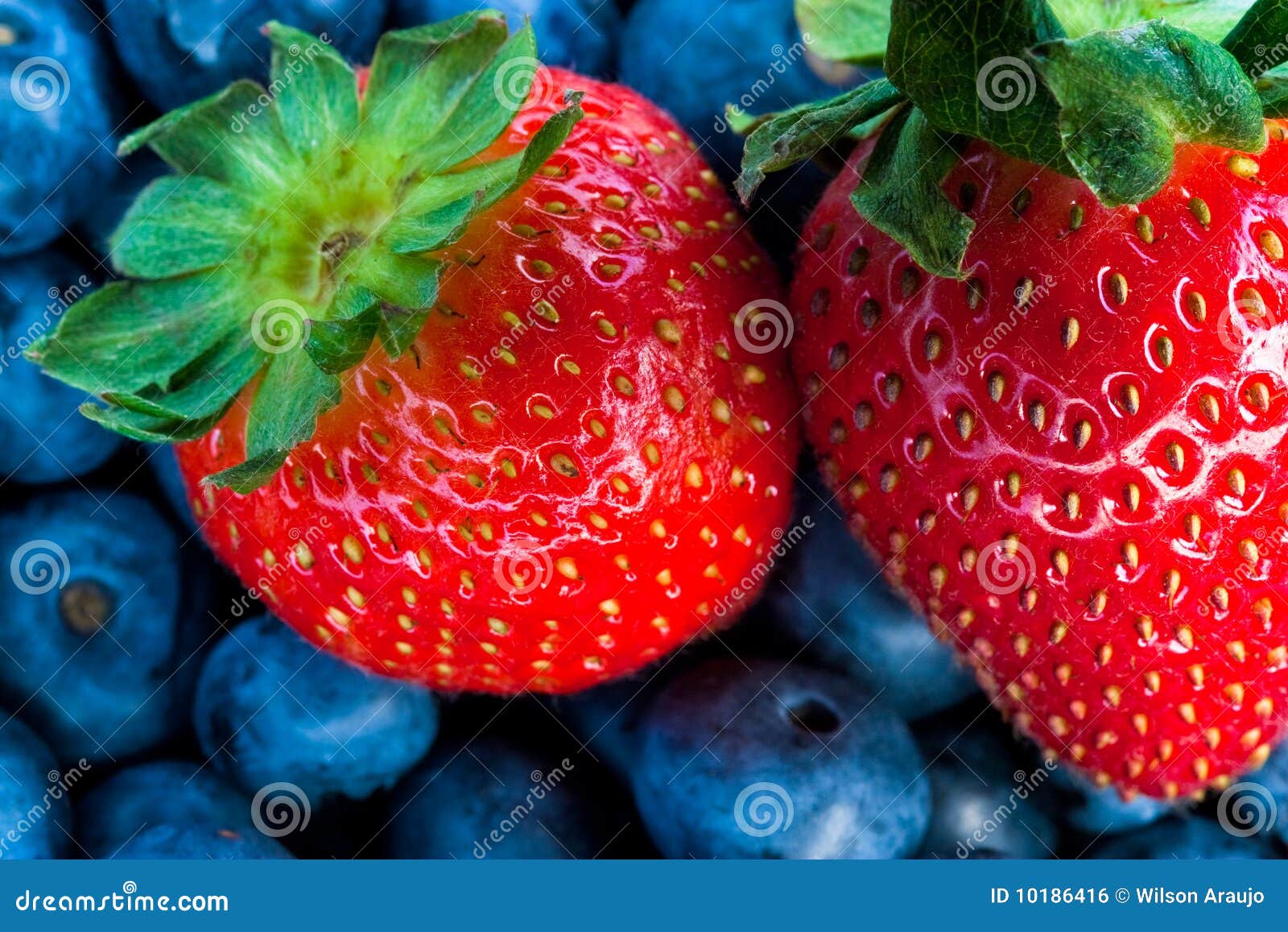 Strawberry and Bluberry Series Stock Photo - Image of food, blue: 10186416