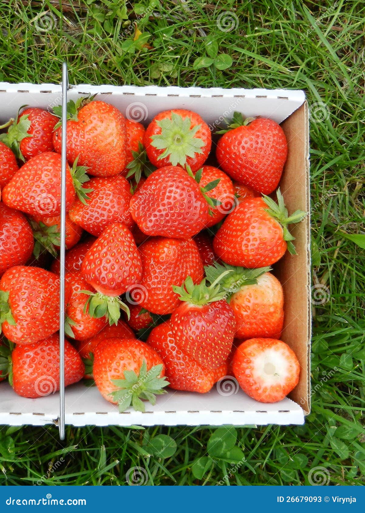 Strawberry in the box stock image. Image of gardening - 26679093
