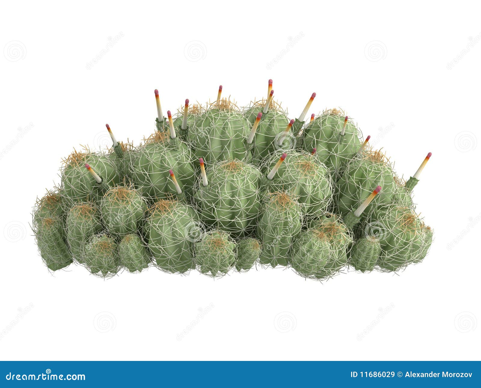 Strawberry_cactus_(Echinocereus_triglochidiatus) Stock Illustration ...