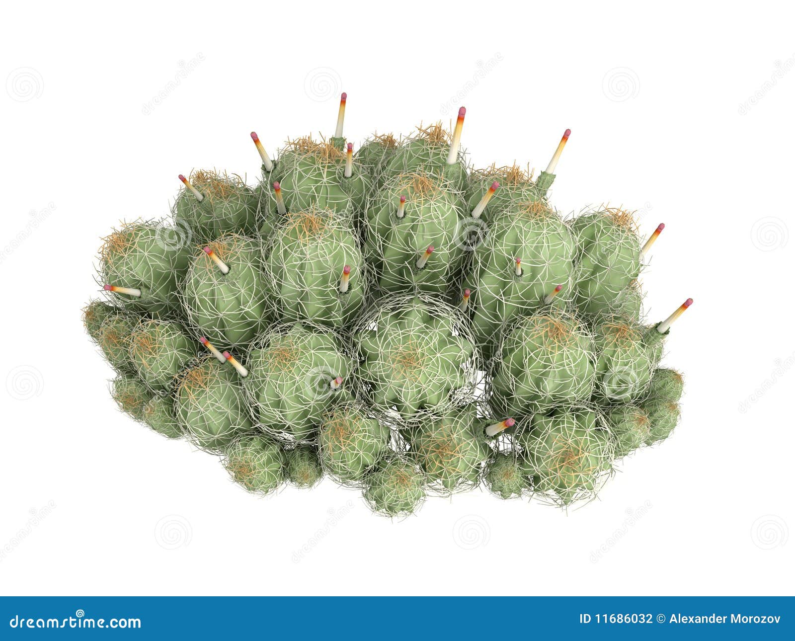Strawberry_cactus_(Echinocereus_triglochidiatus) Stock Illustration ...