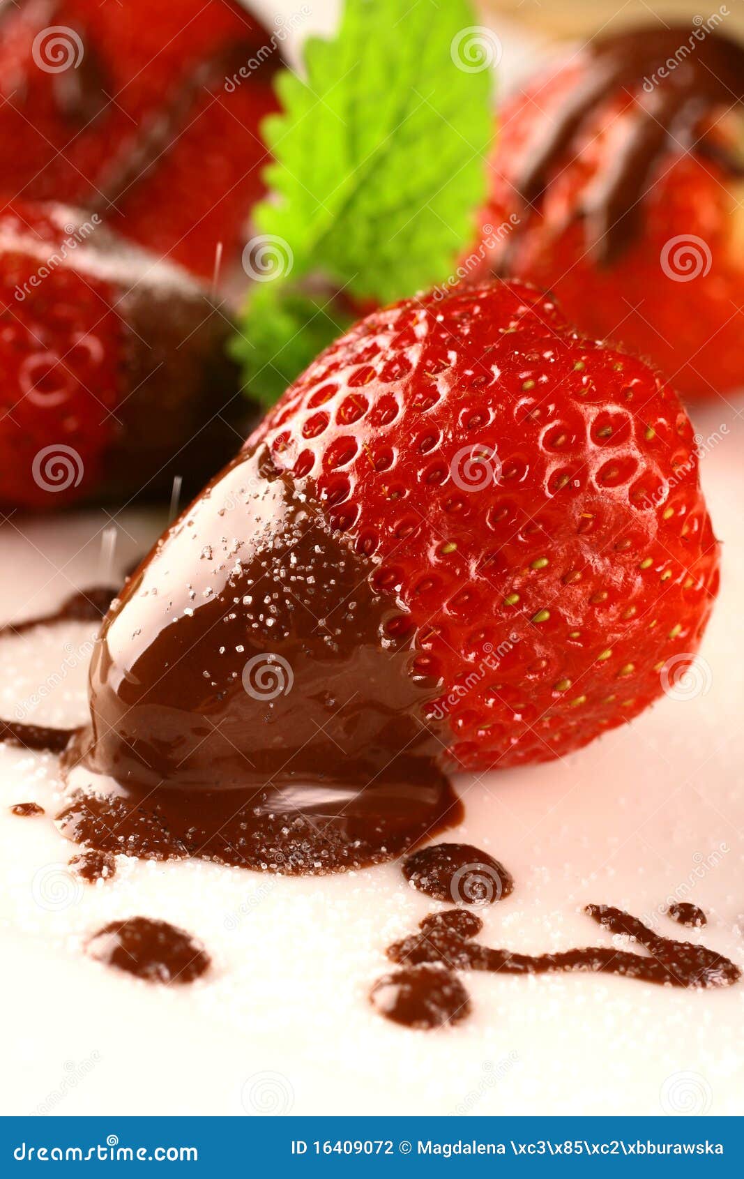 Strawberry in chocolate stock photo. Image of vitality - 16409072
