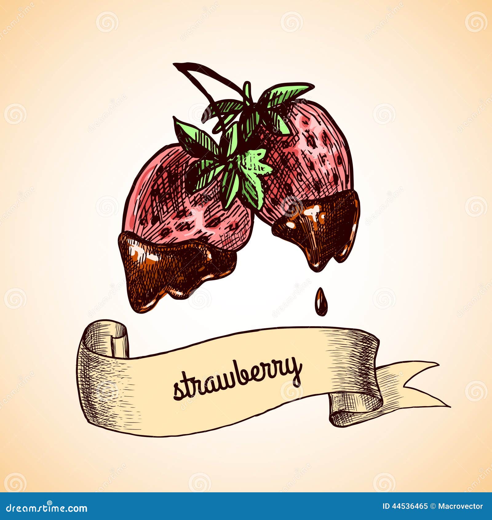 Strawberry Chocolate Sketch Stock Vector - Illustration of badge ...