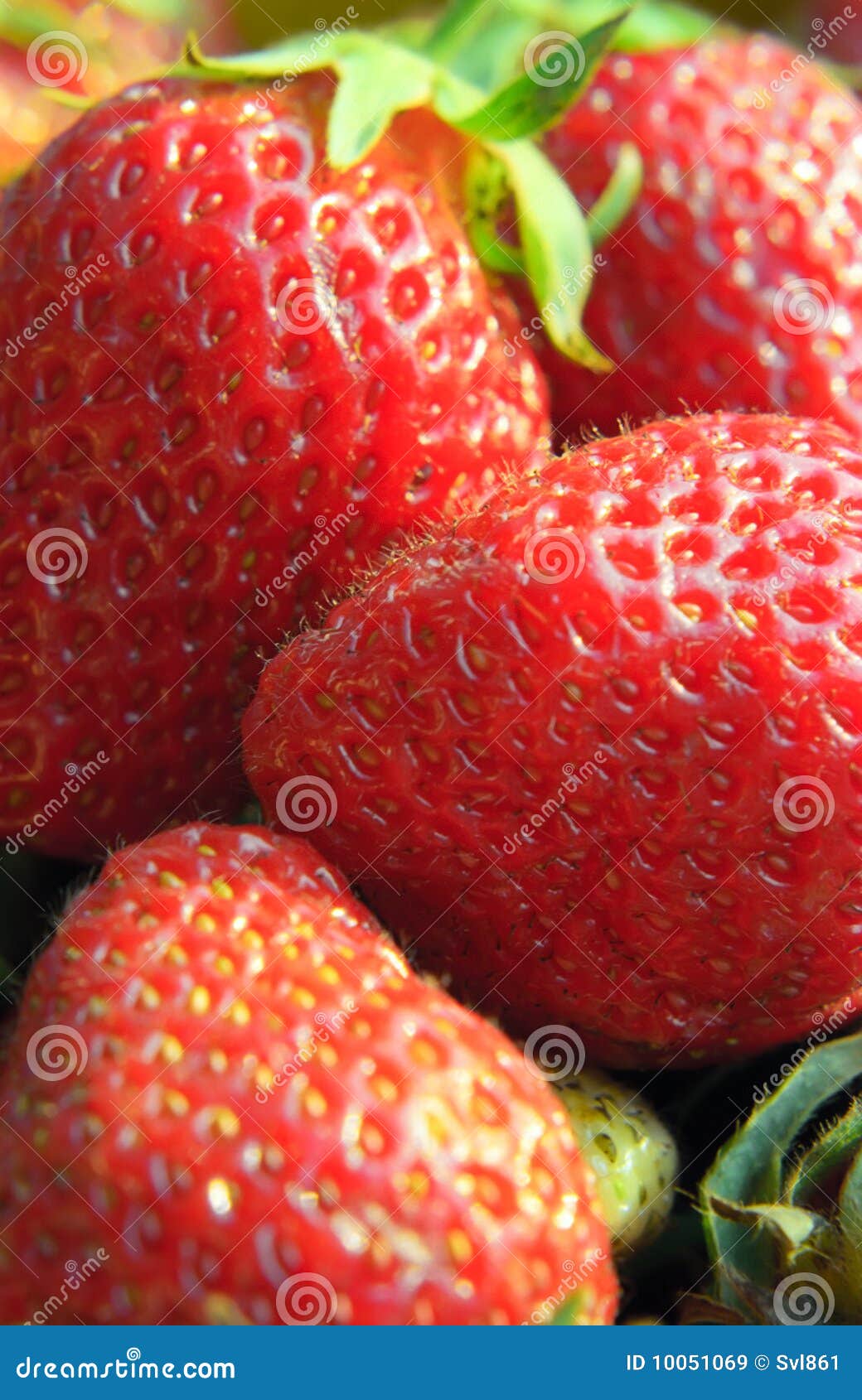 Strawberry close-up stock image. Image of macro, stack - 10051069