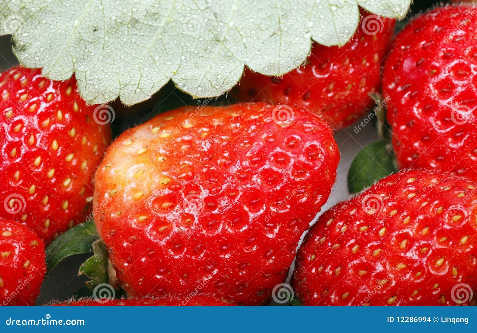 Strawberry close-up stock photo. Image of close, food - 12286994
