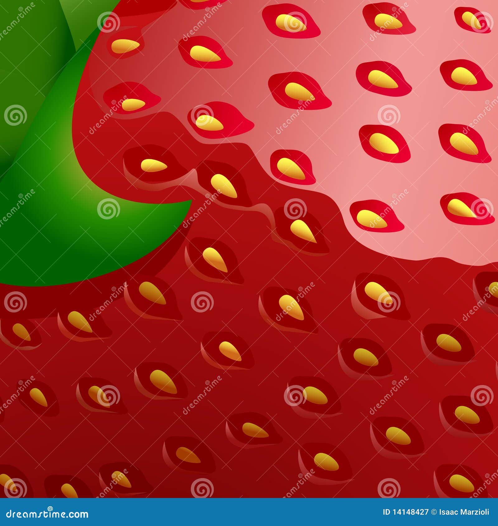 Strawberry Close-up stock vector. Illustration of closeup - 14148427