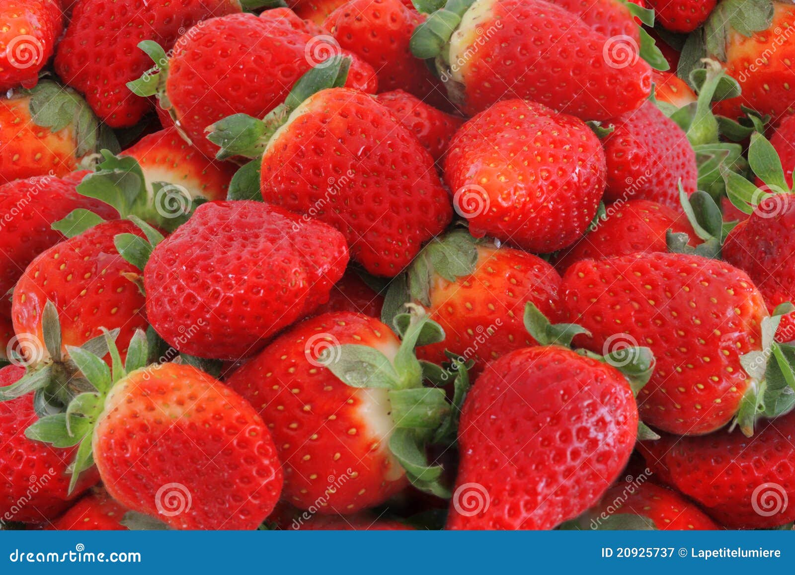Strawberry close up stock image. Image of culinary, food - 20925737