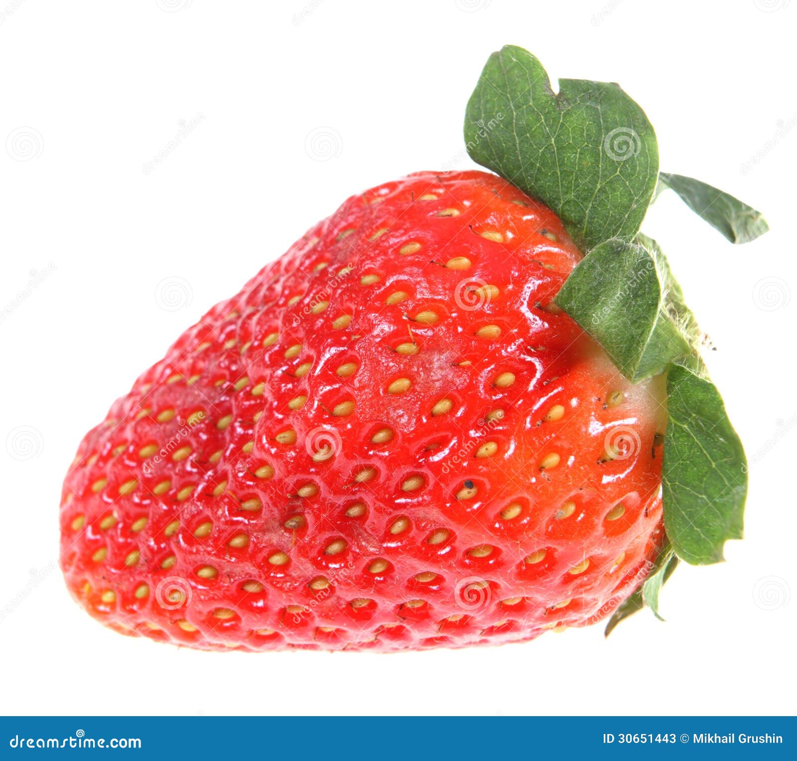 Strawberry stock image. Image of isolated, berry, close - 30651443