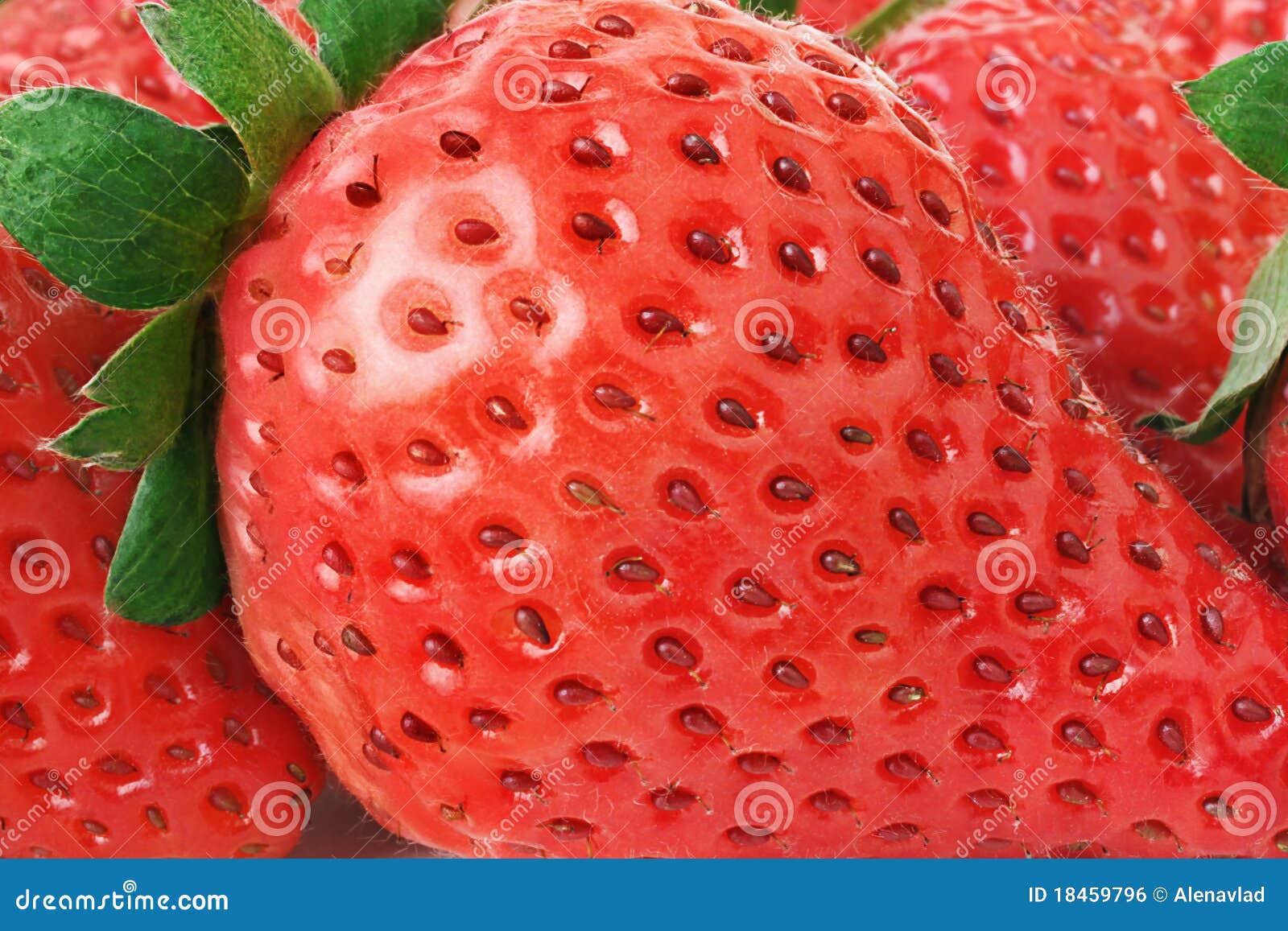 Strawberry close-up macro stock photo. Image of natural - 18459796