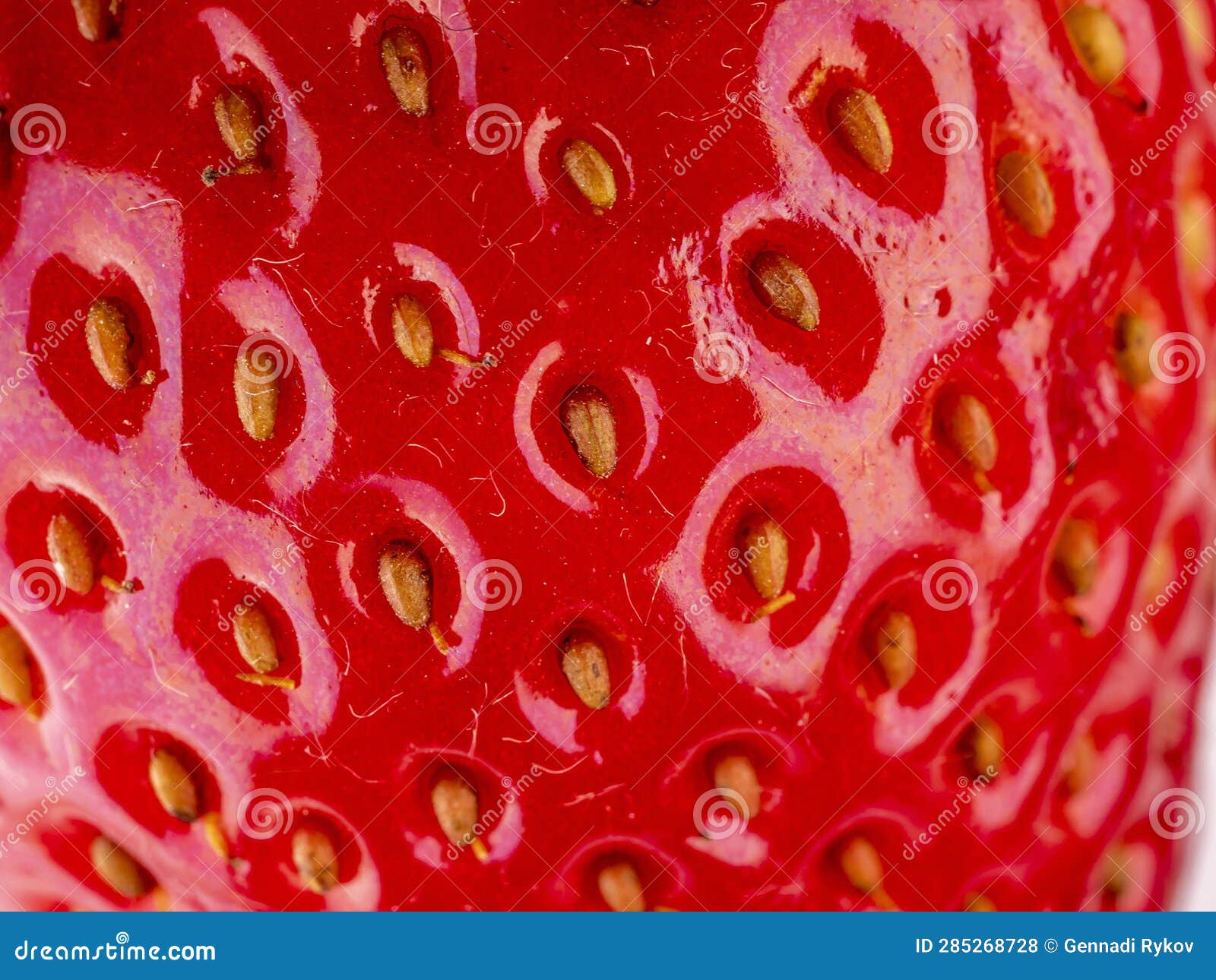 Strawberry Close-up. Macro Photography Stock Photo - Image of organ ...