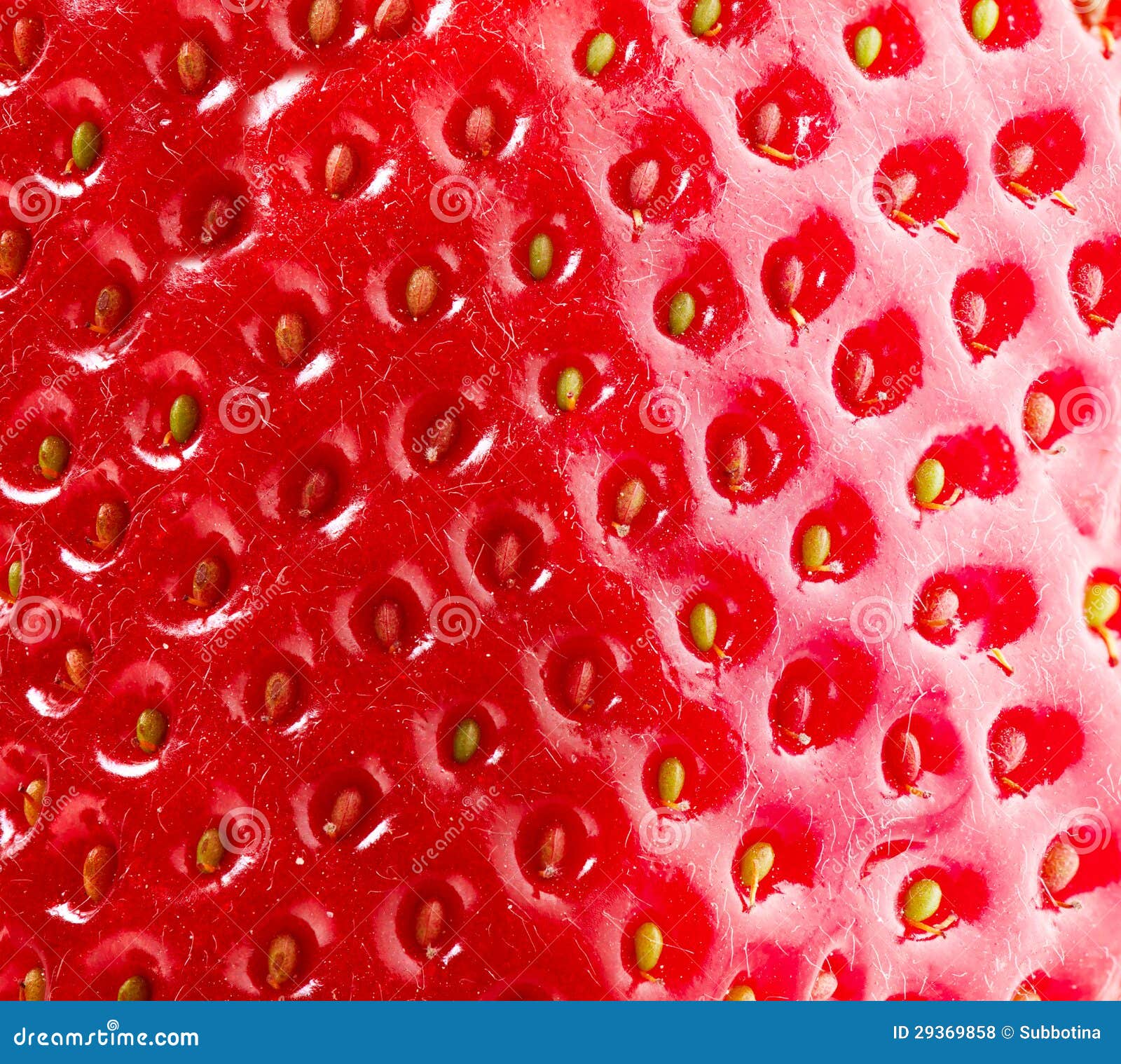 Strawberry Closeup stock photo. Image of agriculture - 29369858