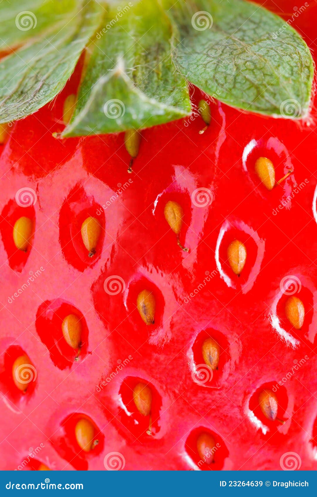 Strawberry closeup detail stock image. Image of background - 23264639