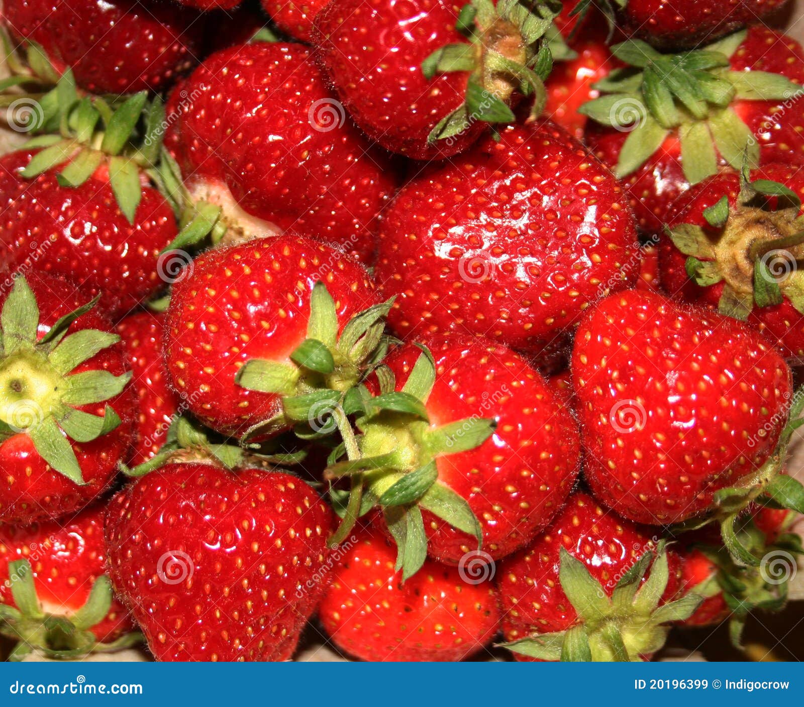 Strawberry Collage stock image. Image of seeds, shiney - 20196399