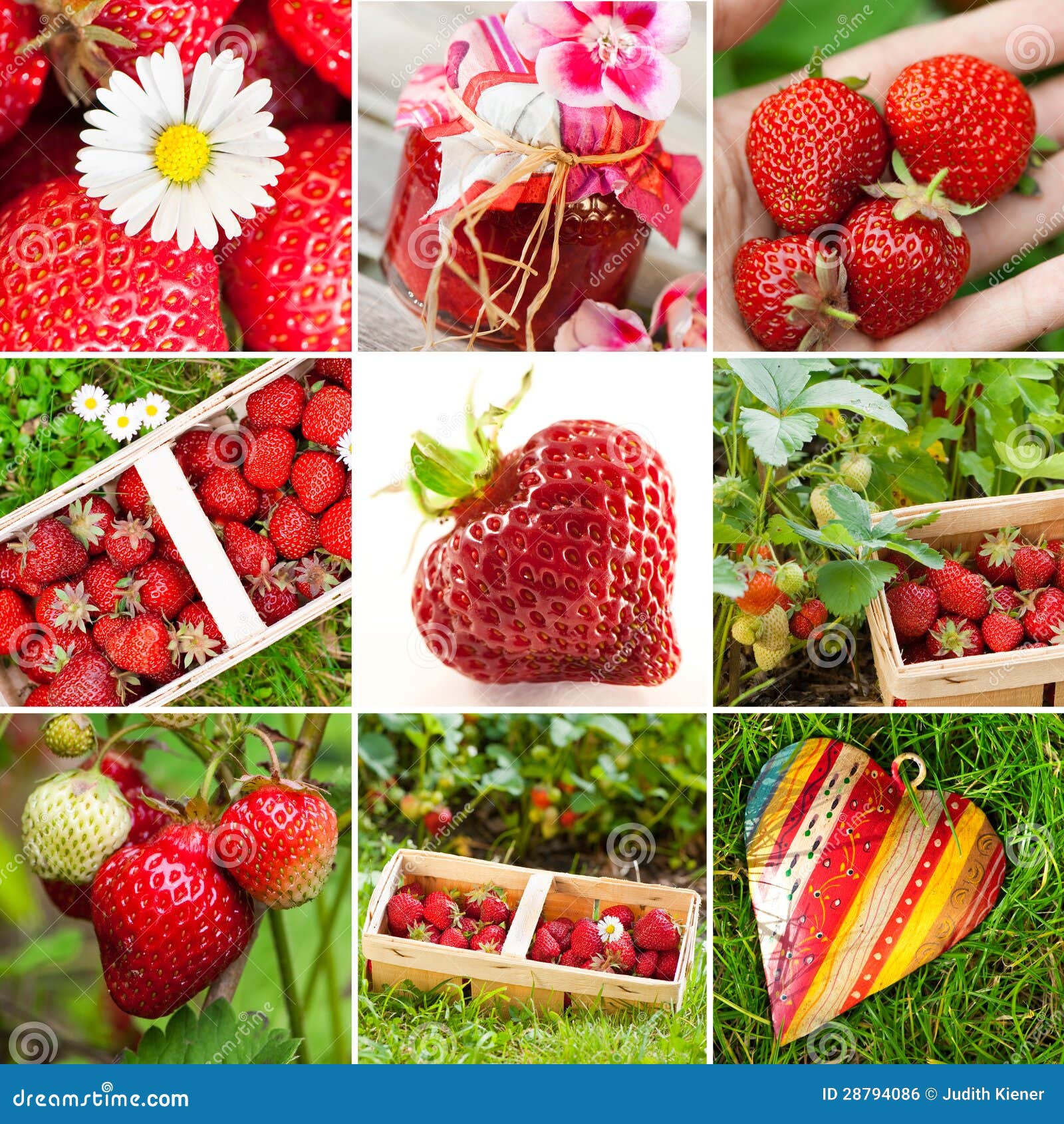Strawberry Collage Royalty-Free Stock Photography | CartoonDealer.com ...