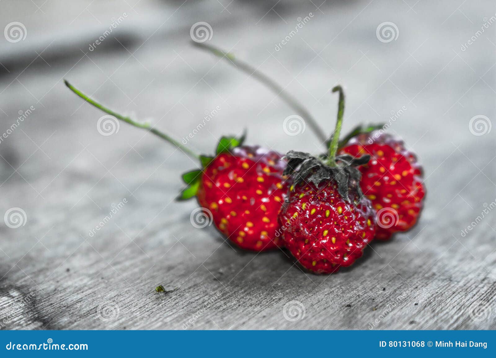 Strawberry 06 stock photo. Image of style, strawberry - 80131068