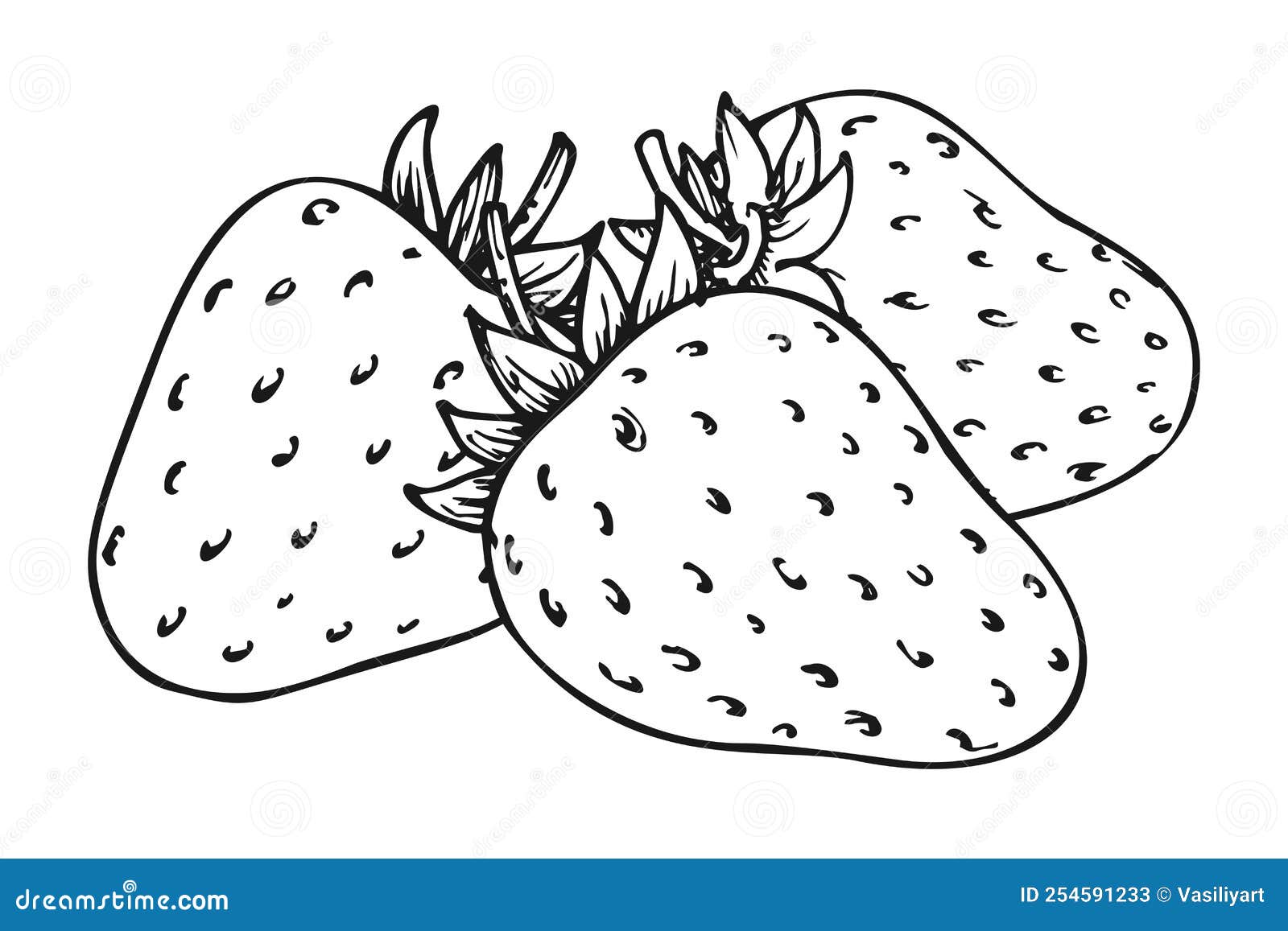Strawberry Coloring Book Whole Ripe Sweet Fruit Stock Vector