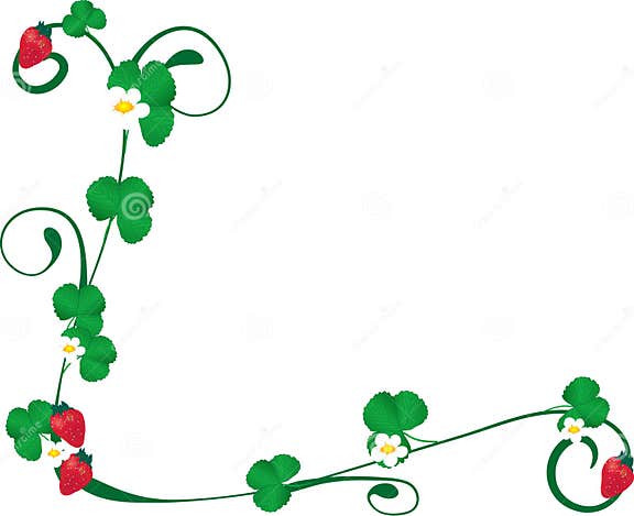 Strawberry corner stock vector. Illustration of vector - 5214986