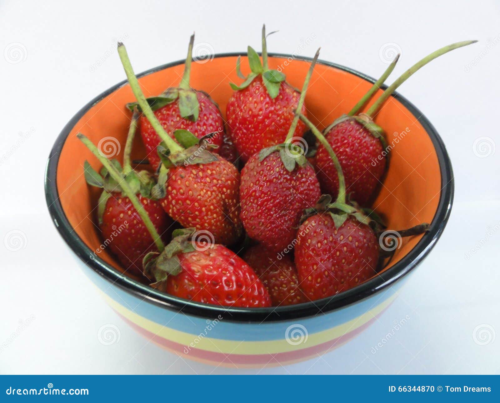 Strawberry1 stock photo. Image of hungry, nature, food - 66344870