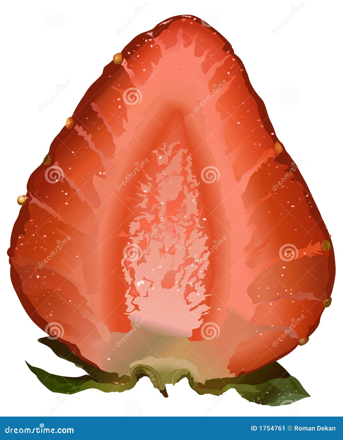 Strawberry Cut stock vector. Illustration of vector, vitamins - 1754761