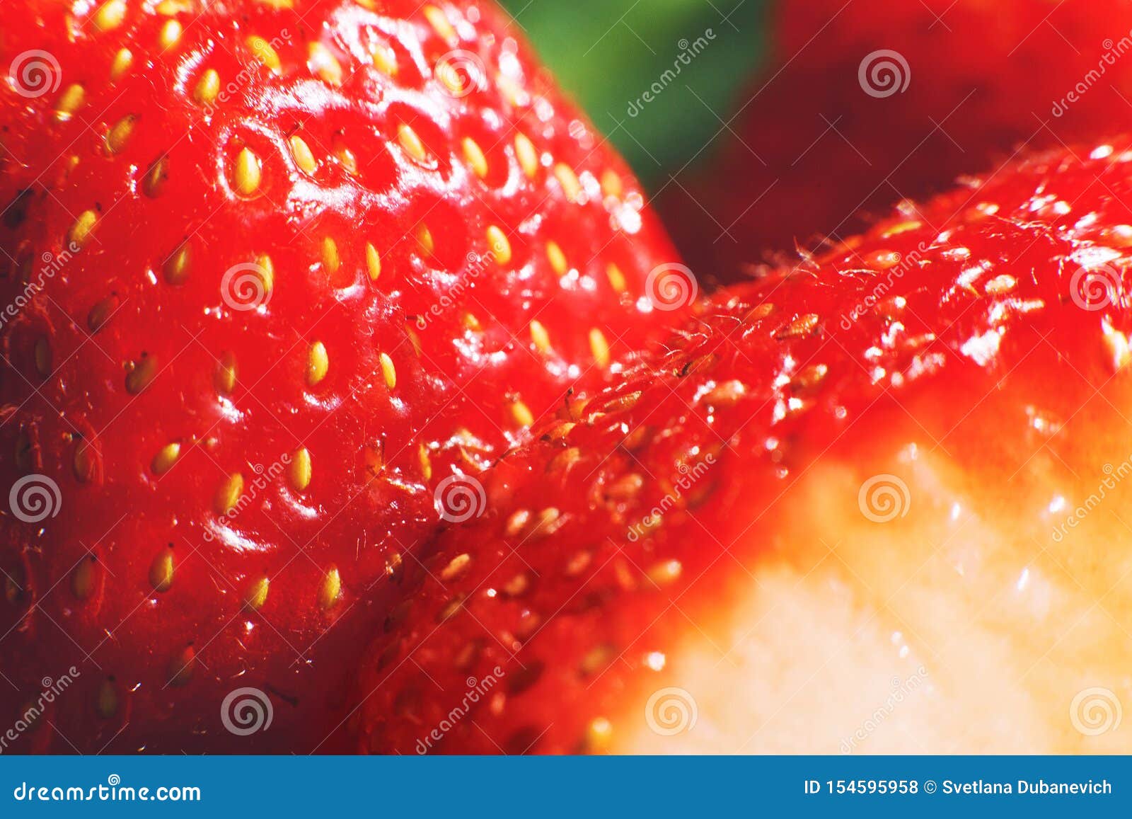Strawberry Cut Half Half Stock Photos - Download 7,343 Royalty Free Photos