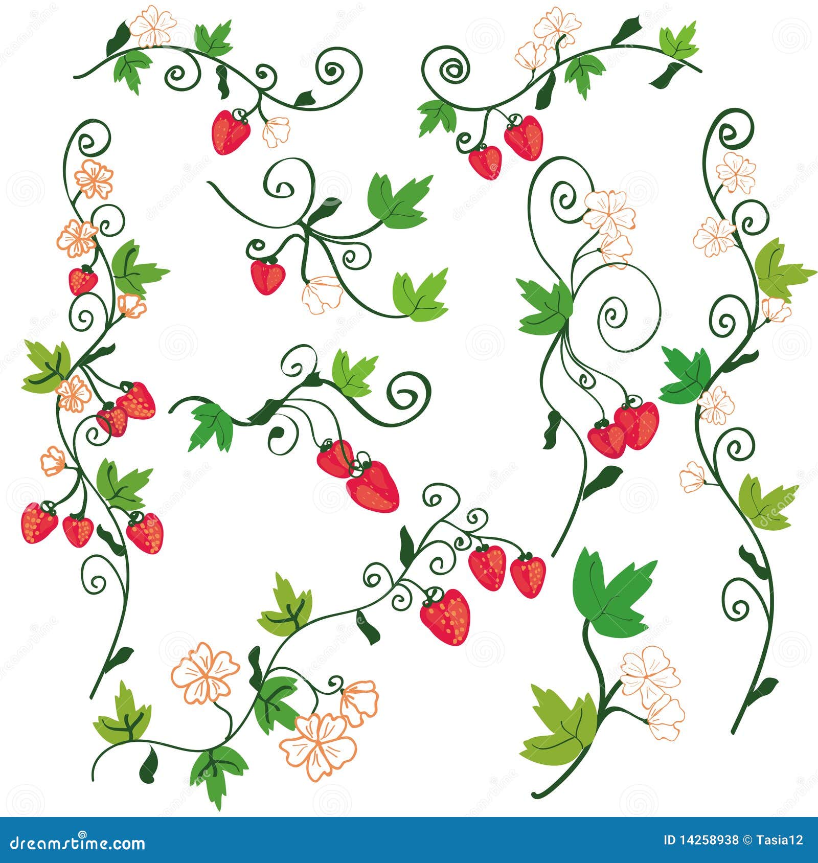 Strawberry design elements stock vector. Illustration of frame - 14258938