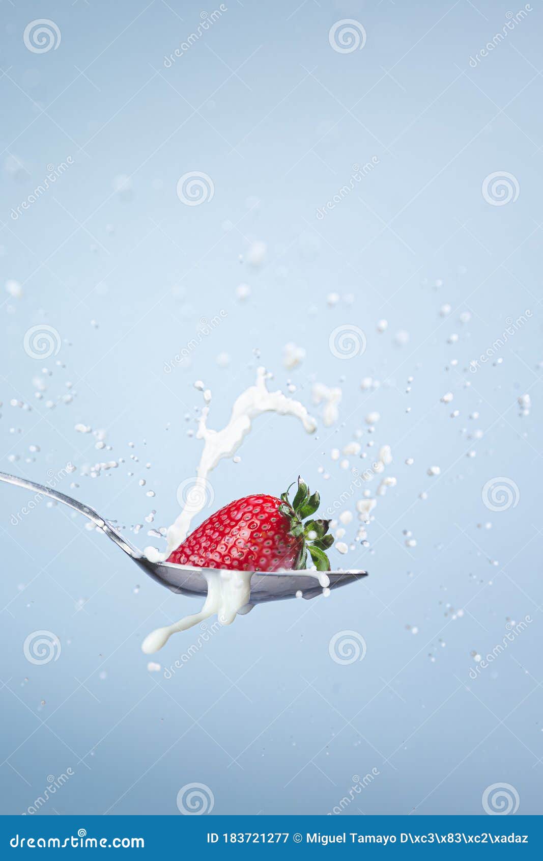 Strawberry Dropping into a Spoon with Milk Creating Splashes and Drops ...